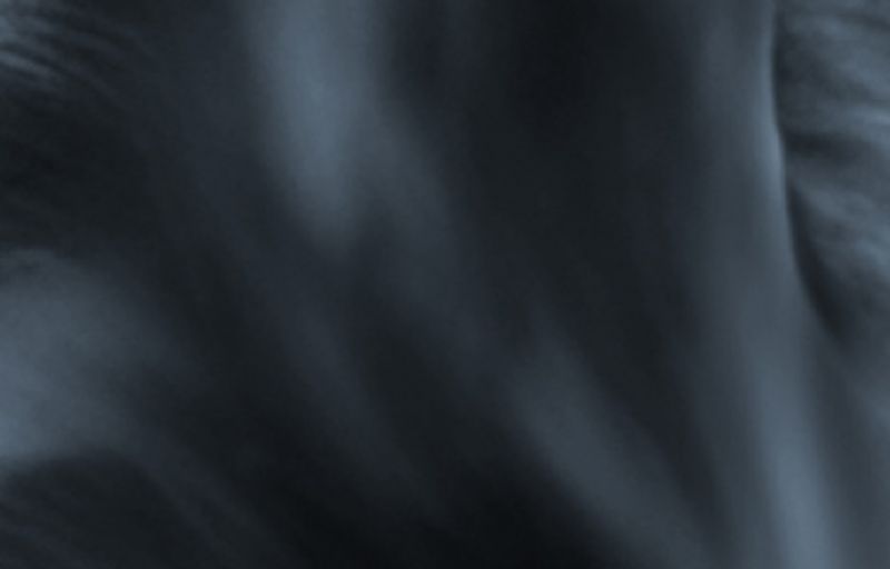 NET-A-PORTER | Luxury Fashion, Beauty & Lifestyle for Women