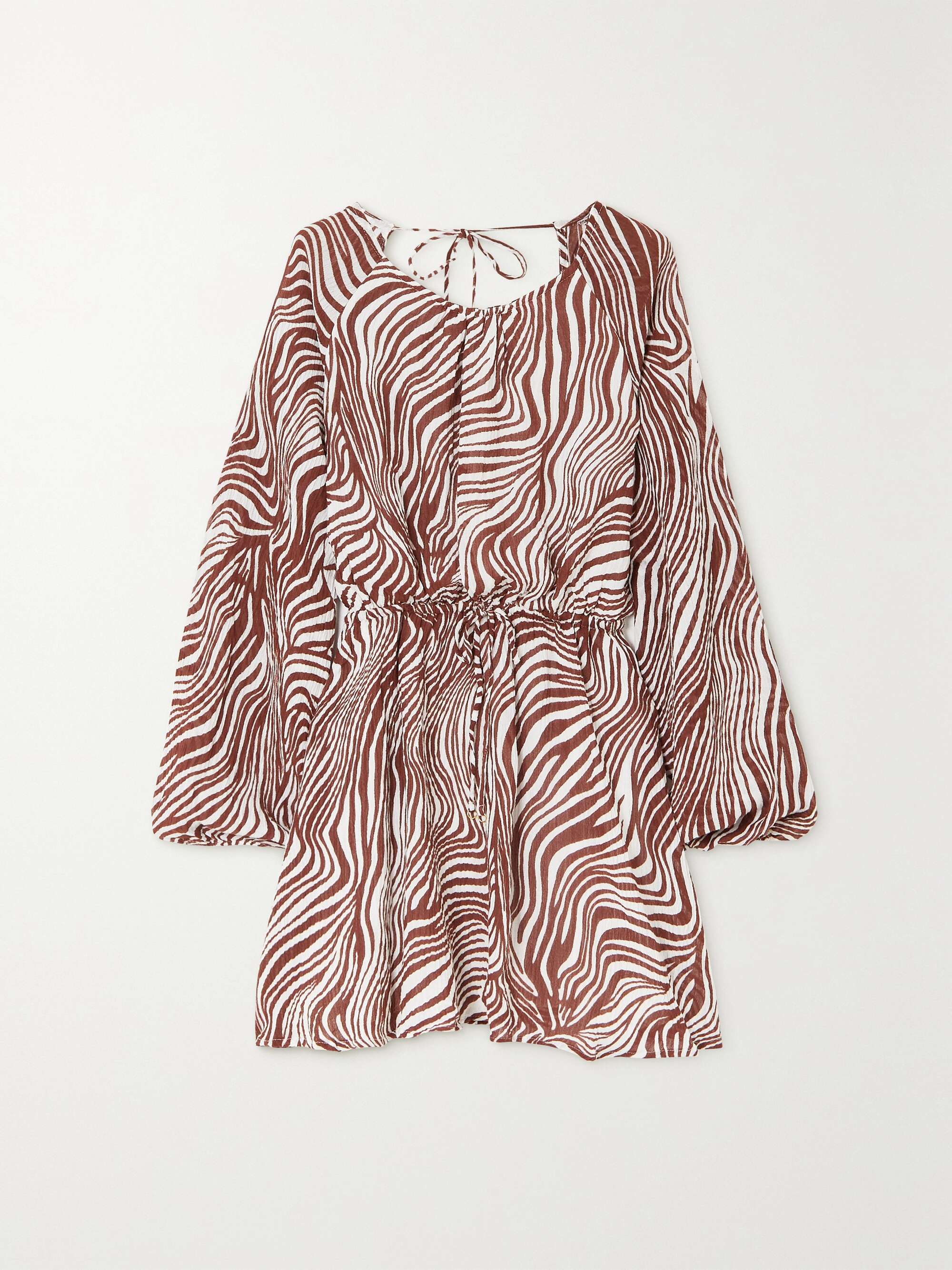 Mini Zebra