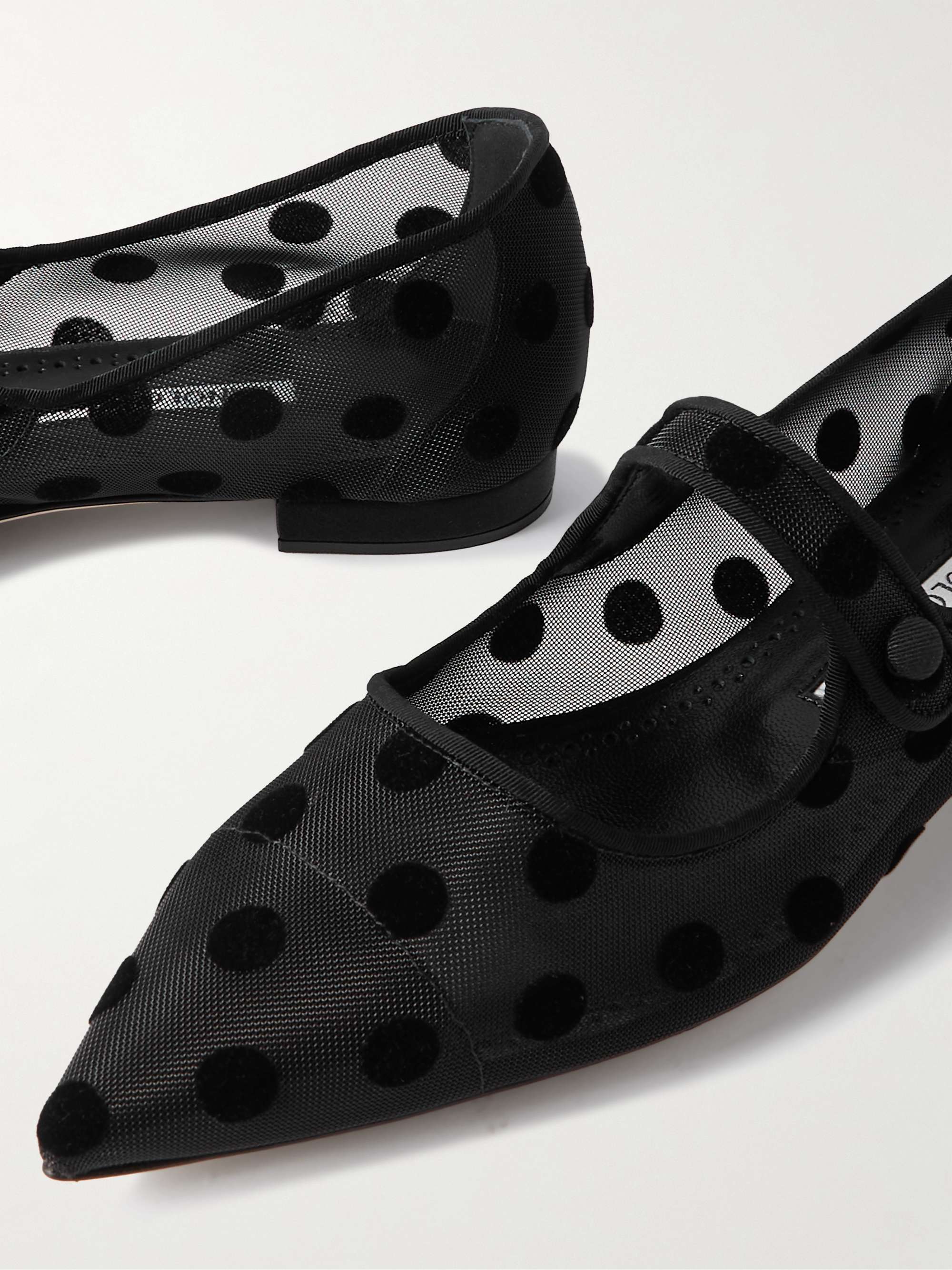 Ballerines en résille floquée à finitions en gros-grain Campari MANOLO ...